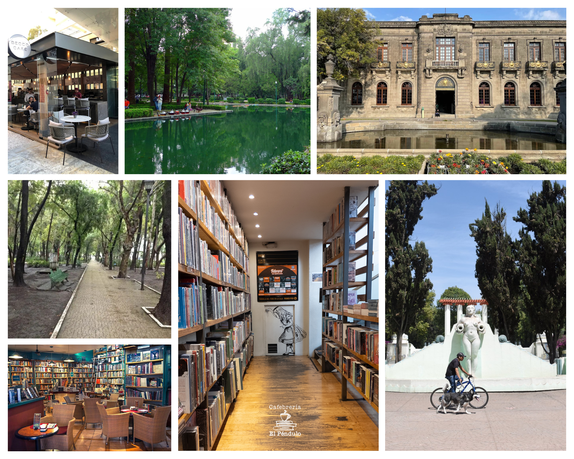 Passport Bro Mexico City Guide: On How To Date Mexican Women In 2025 ...